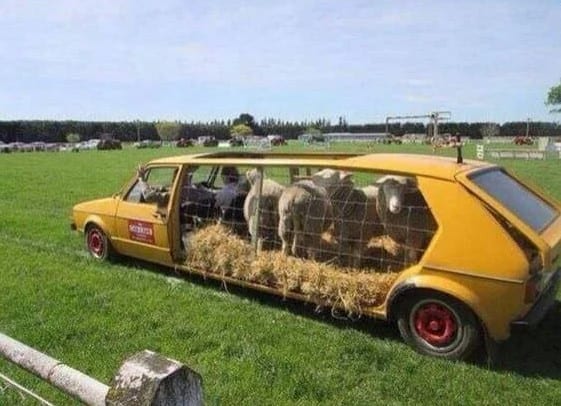 40+ Creative Homemade Limousines That Defy Logic - Traveler Door