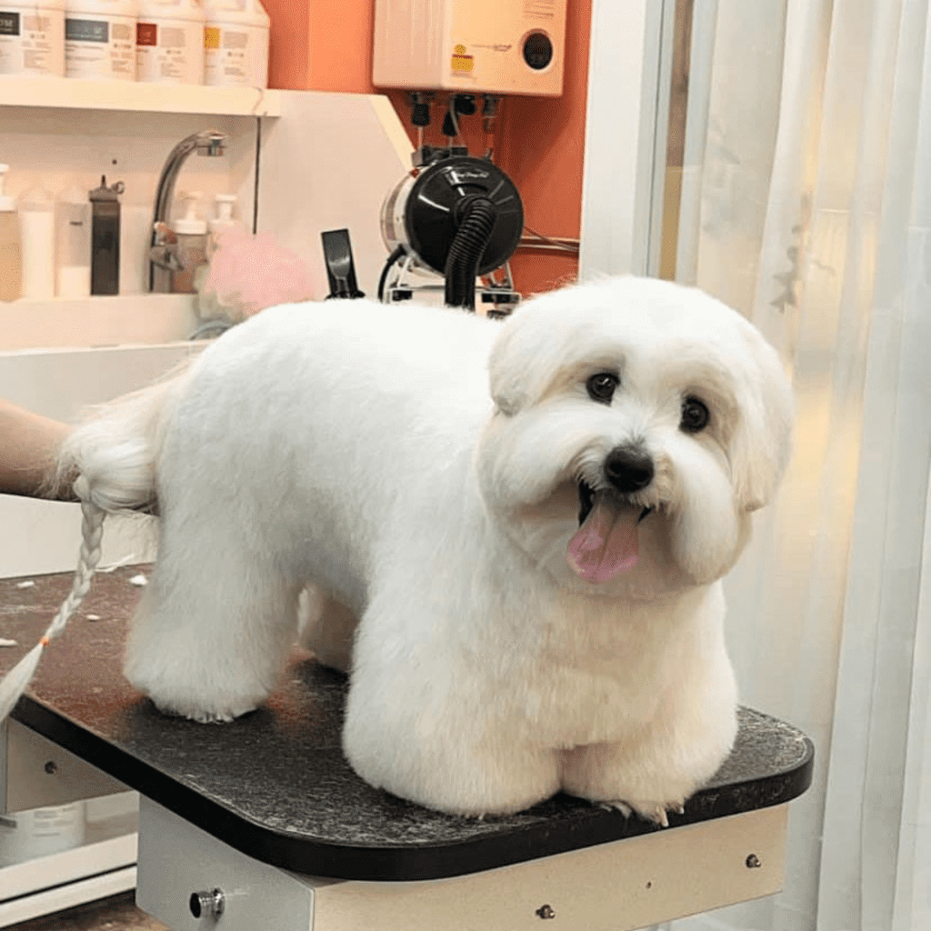 Traveler Door - Traveler Door to the World